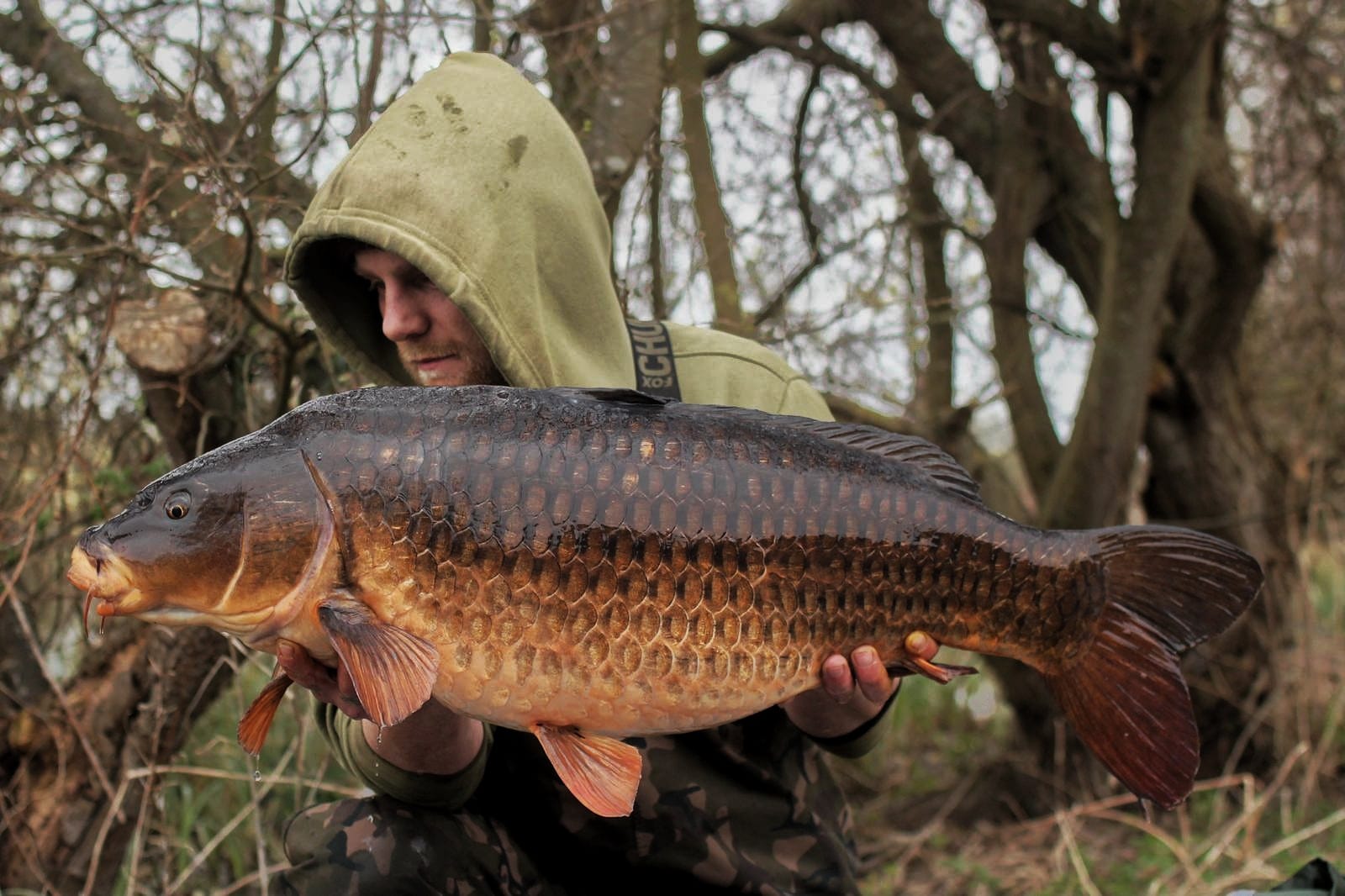 The first one | Total Carp